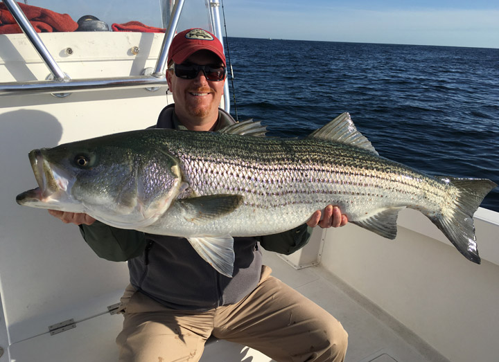 Trophy Striped Bass Fishing in Cape Cod - Hairball Charters